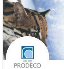 La multinacional Prodeco se va de Colombia; devuelve títulos mineros en ...